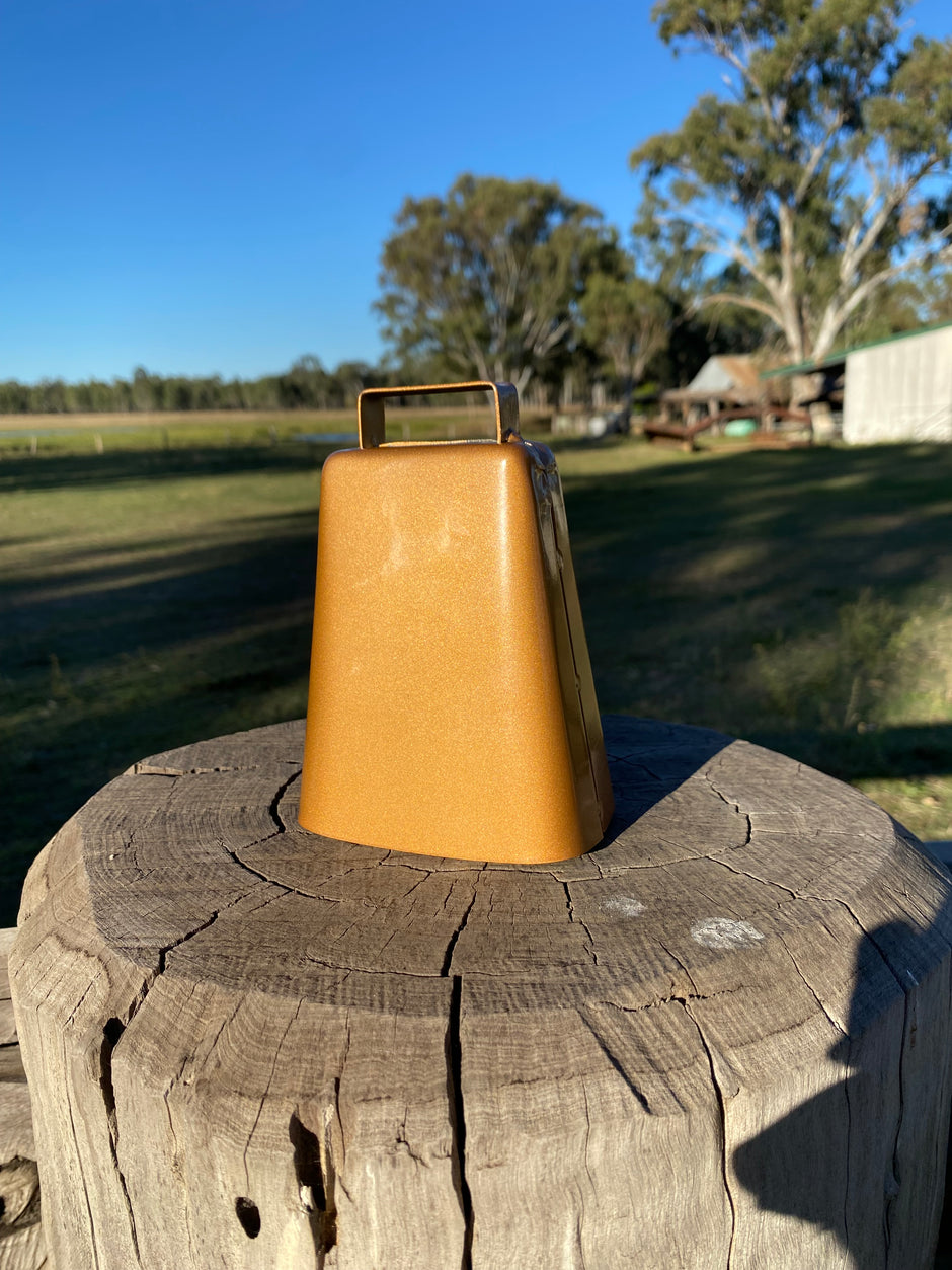 Back to Roots Rodeo Co.